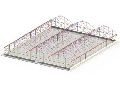 China Galvanized Steel Frame Plastic Film Greenhouse For Vegetable Farming for sale