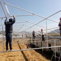 China Greenhouse With Manual Or Motor Roll Up Vent System For Natrual Ventilation for sale