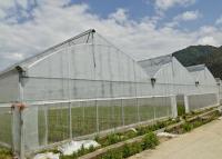 China Greenhouse With Manual Or Motor Roll Up Vent System For Natrual Ventilation for sale