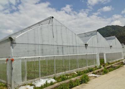 China Greenhouse With Manual Or Motor Roll Up Vent System For Natrual Ventilation for sale