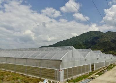 China Hot-Dipped Galvanized Large Greenhouse with UV-Resistant Plastic Cover for sale