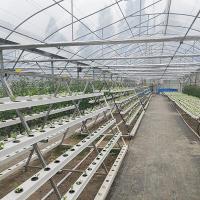 China Easy-Assembly Galvanized Poly Multi-Tunnel Green House With Heavy-Duty Plastic Cover for sale