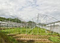 China Easy-Assembly Galvanized Poly Multi-Tunnel Green House With Heavy-Duty Plastic Cover for sale