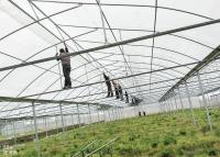 China Custom Growers Solution Commercial Polytunnel Plastic Greenhouse For Island Countries for sale