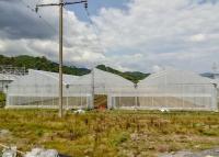 China Rustproof Galvanized Greenhouse With Anti-Hail Plastic Film For Harsh Climates for sale