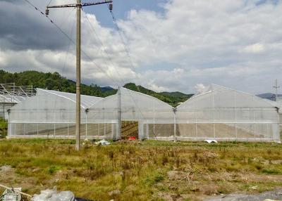 China Rustproof Galvanized Greenhouse With Anti-Hail Plastic Film For Harsh Climates for sale