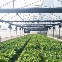 China Hot-Dipped Galvanized Multi-Span Greenhouse Structure with UV-Resistant Polyethylene Film and Automated Ventilation for sale