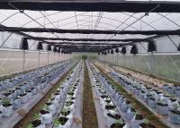 China Rustproof Galvanized Greenhouse With Anti-Hail Plastic Film For Harsh Climates for sale