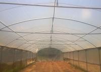 China 8m Wide Single Span Greenhouse with Galvanized Gutter 10-60m Length for sale