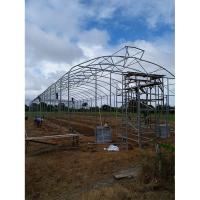 China Umbrella Shape Single-Span Large Agriculture Prefab Greenhouse with Hot Dipped Galvanized Steel Frame PE Material for sale