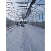 China Umbrella Shape Single-Span Large Agriculture Prefab Greenhouse with Hot Dipped Galvanized Steel Frame PE Material for sale