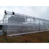 China Umbrella Shape Single-Span Large Agriculture Prefab Greenhouse with Hot Dipped Galvanized Steel Frame PE Material for sale