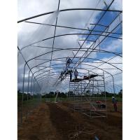 China Umbrella Shape Single-Span Large Agriculture Prefab Greenhouse with Hot Dipped Galvanized Steel Frame PE Material for sale