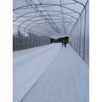 China Umbrella Shape Single-Span Large Agriculture Prefab Greenhouse with Hot Dipped Galvanized Steel Frame PE Material for sale