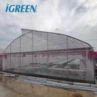 China Commercial Tropical Roof Vent Single-span Large Greenhouses Hot Dipped Galvanized Steel Film Cover for Tomato Lettuce Pepper for sale