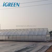 China Commercial Tropical Roof Vent Single-span Large Greenhouses Hot Dipped Galvanized Steel Film Cover for Tomato Lettuce Pepper for sale