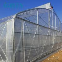 China Commercial Tropical Roof Vent Single-span Large Greenhouses Hot Dipped Galvanized Steel Film Cover for Tomato Lettuce Pepper for sale