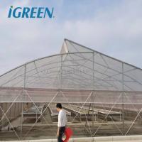 China Commercial Tropical Roof Vent Single-span Large Greenhouses Hot Dipped Galvanized Steel Film Cover for Tomato Lettuce Pepper for sale