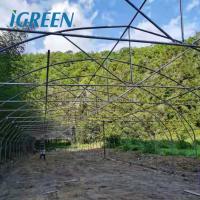 China Steel Single-Span Small Greenhouse with PE Film Cover for Ducks or Chickens for sale