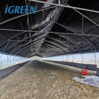 China Steel Single-Span Small Greenhouse with PE Film Cover for Ducks or Chickens for sale
