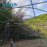 China Steel Single-Span Small Greenhouse with PE Film Cover for Ducks or Chickens for sale