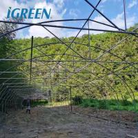 China Steel Single-Span Small Greenhouse with PE Film Cover for Ducks or Chickens for sale