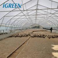 China Steel Single-Span Small Greenhouse with PE Film Cover for Ducks or Chickens for sale