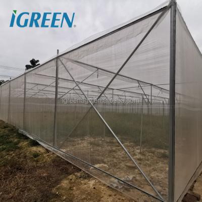 China Large Multi-Span Agricultural Greenhouse Bird Net Shade Net Insect Net Farming Equipment for sale