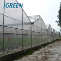 China 2m Column Commercial Vegetable Greenhouse with Rain Gutter for sale