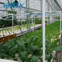 China 2m Column Commercial Vegetable Greenhouse with Rain Gutter for sale