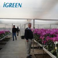 China Large Single-Span Galvanized Steel Frame Commercial Orchid Flower Greenhouse with PE Film Cover for sale