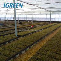 China Large Single-Span Galvanized Steel Frame Commercial Orchid Flower Greenhouse with PE Film Cover for sale