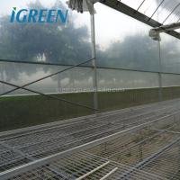 China Large Single-Span Galvanized Steel Frame Commercial Orchid Flower Greenhouse with PE Film Cover for sale