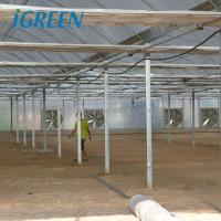 China Large Single-Span Galvanized Steel Frame Commercial Orchid Flower Greenhouse with PE Film Cover for sale
