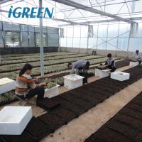 China Large Single-Span Galvanized Steel Frame Commercial Orchid Flower Greenhouse with PE Film Cover for sale