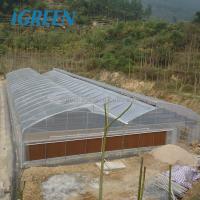 China Agricultural Vegetable Single-Span Large Greenhouses with PE Film Hot Dipped Galvanized Steel Structure Irrigation System Fujian for sale