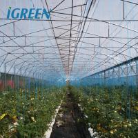 China Agricultural Vegetable Single-Span Large Greenhouses with PE Film Hot Dipped Galvanized Steel Structure Irrigation System Fujian for sale