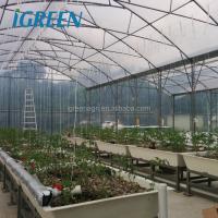 China Agricultural Vegetable Single-Span Large Greenhouses with PE Film Hot Dipped Galvanized Steel Structure Irrigation System Fujian for sale