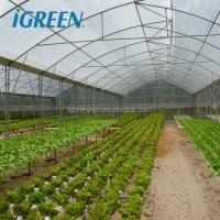 China Agricultural Vegetable Single-Span Large Greenhouses with PE Film Hot Dipped Galvanized Steel Structure Irrigation System Fujian for sale