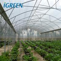 China Agricultural Vegetable Single-Span Large Greenhouses with PE Film Hot Dipped Galvanized Steel Structure Irrigation System Fujian for sale
