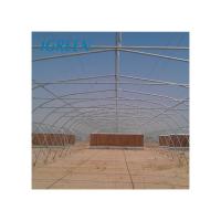 China Low Cost Metal Frame Greenhouse for Vegetable Growing for sale