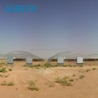 China Low Cost Metal Frame Greenhouse for Vegetable Growing for sale