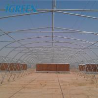 China Low Cost Metal Frame Greenhouse for Vegetable Growing for sale