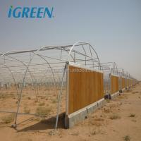 China Low Cost Metal Frame Greenhouse for Vegetable Growing for sale