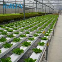 China Commercial NFT Hydroponic Equipment System Single Layer for Herbs&Vegetables for sale