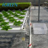 China Commercial NFT Hydroponic Equipment System Single Layer for Herbs&Vegetables for sale