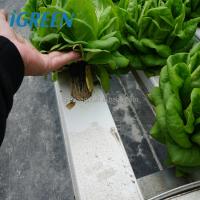 China Commercial NFT Hydroponic Equipment System Single Layer for Herbs&Vegetables for sale