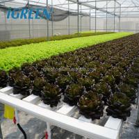 China Commercial NFT Hydroponic Equipment System Single Layer for Herbs&Vegetables for sale