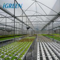 China Commercial NFT Hydroponic Equipment System Single Layer for Herbs&Vegetables for sale