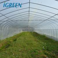 China Low Cost China Wholesale Tunnel Greenhouse For Year Round Crop Growth And Resource Management for sale